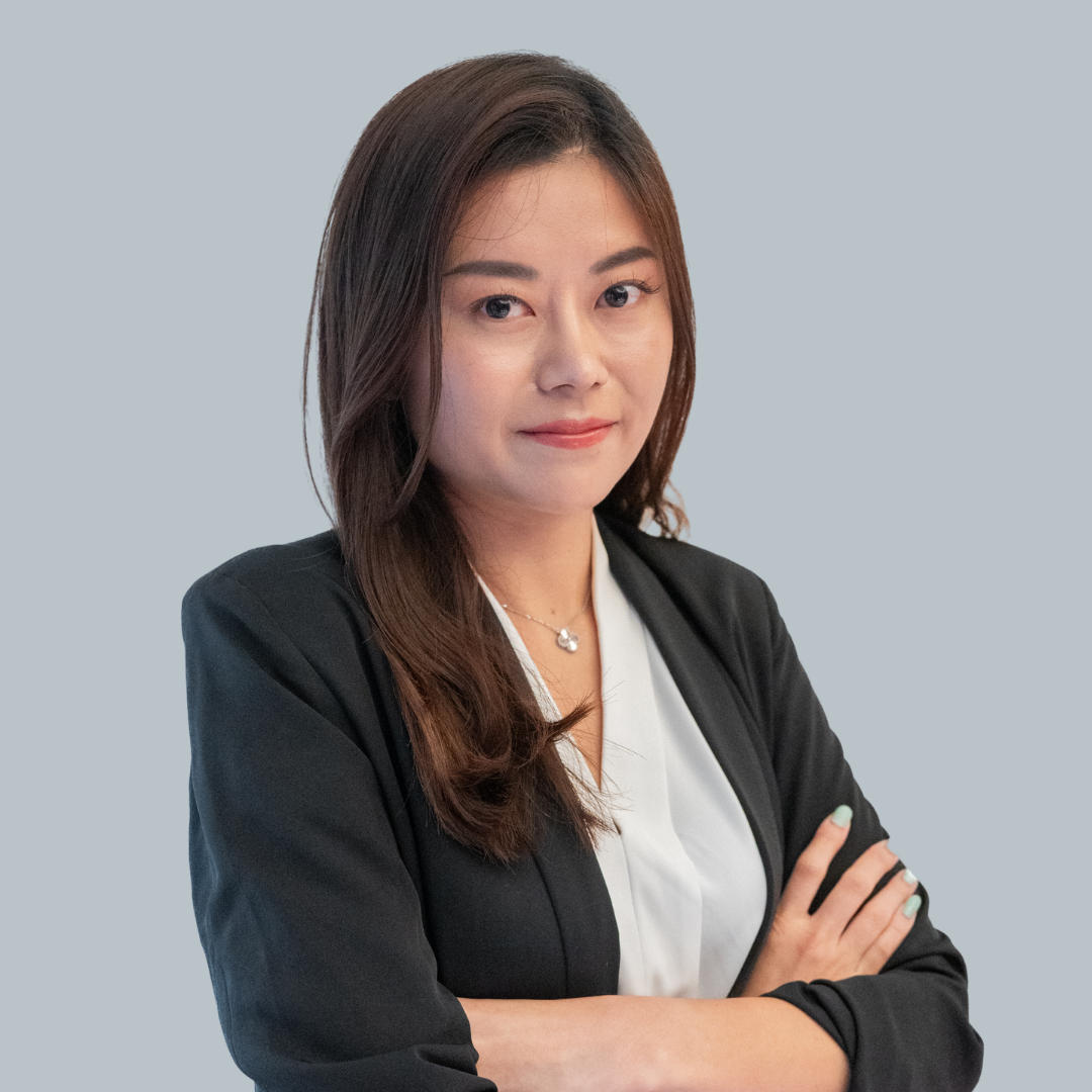 Megan Lim - Access Partnership
